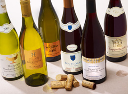Decoding the AOCs of Bourgogne wines - Bourgogne wines